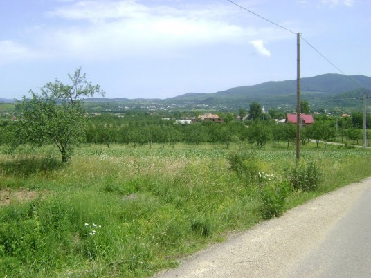 Concurs regional pe teme ecologice la Satu Mare - Transilvania Reporter